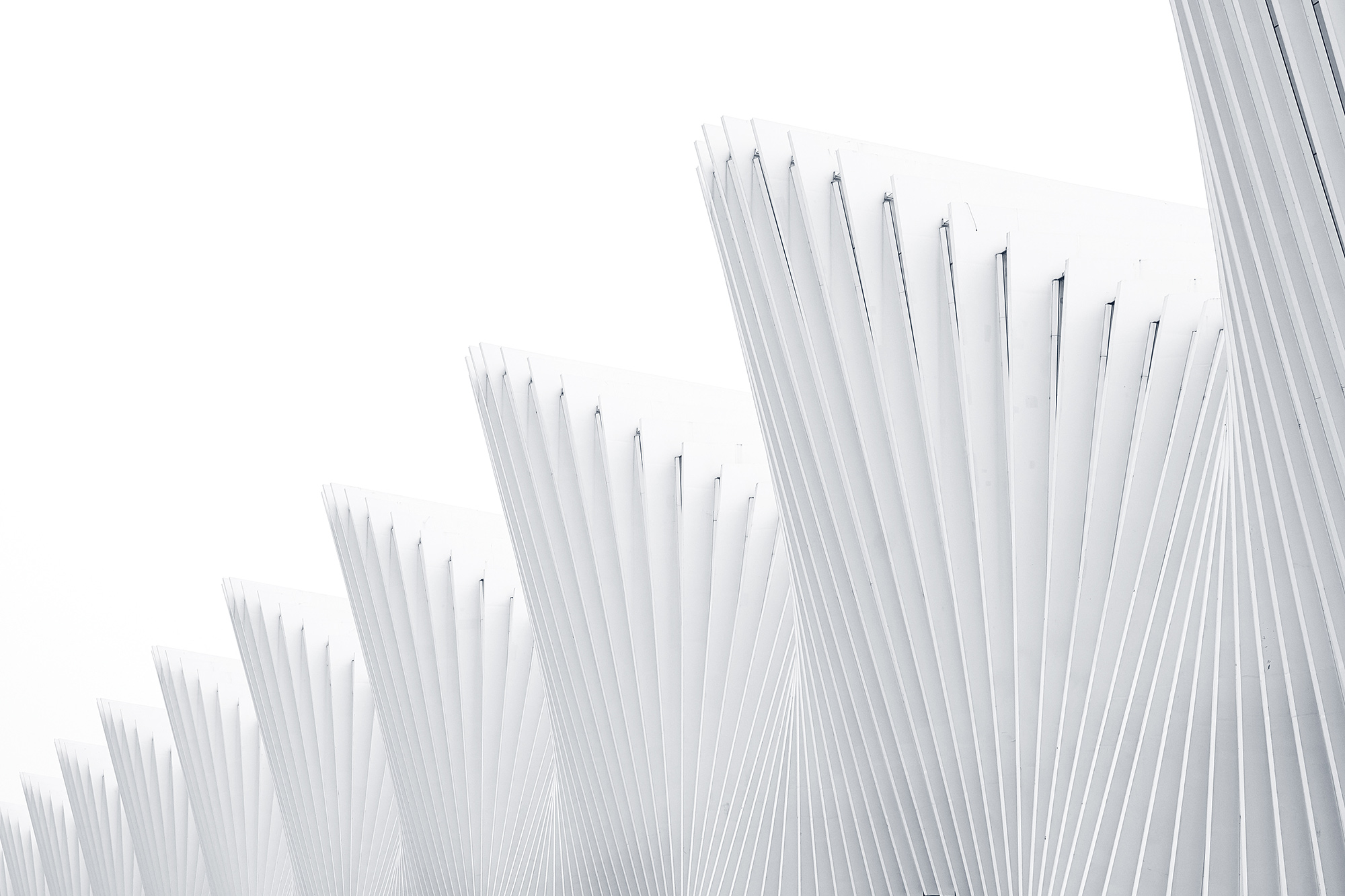 The Most Common Requirements Documents and How to Use Them - QRA